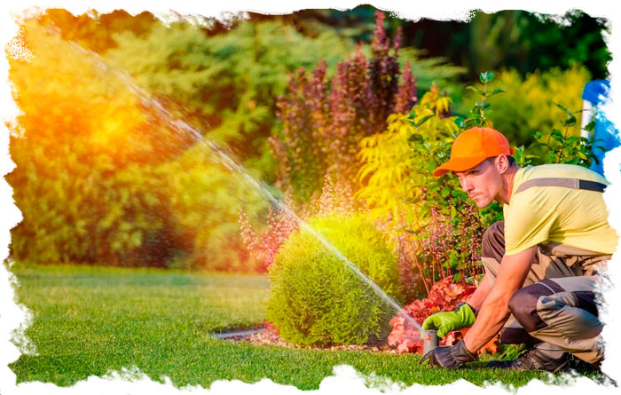 General Lawn Maintenance Tips